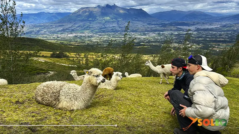 Best Time to Visit Ecuador & Galápagos 2026 | Best Travel Guide