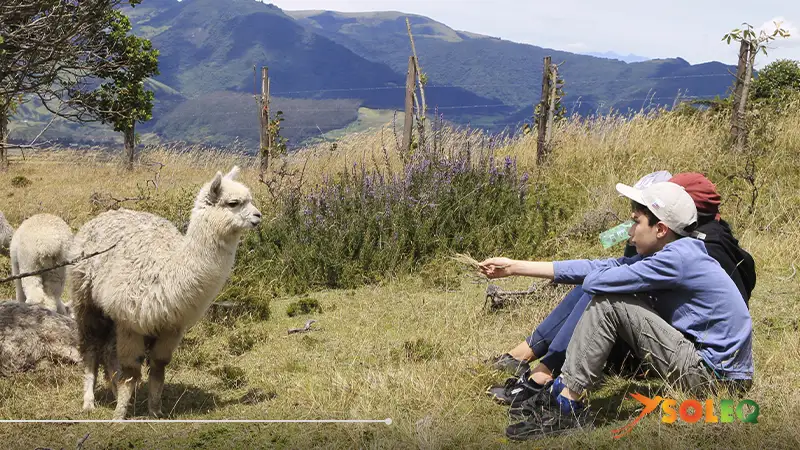 Is Ecuador Safe? 2026 Travel Safety Guide by Experts | Soleq