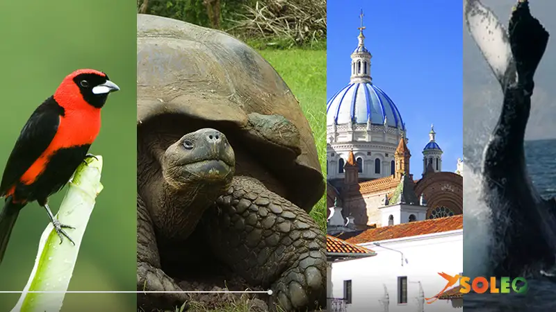 Is Ecuador Safe? 2026 Travel Safety Guide by Experts | Soleq